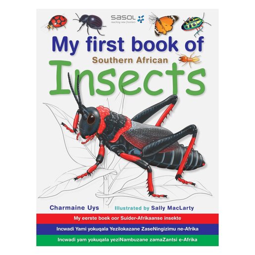 My First Book of South African Insects | Smart Price Specials | PnP Home