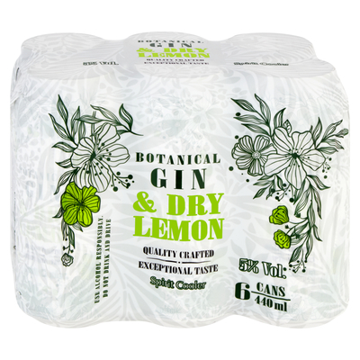 Tipo Tinto R&R Can 440ml | PnP