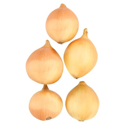 PnP Onions 2kg | PnP