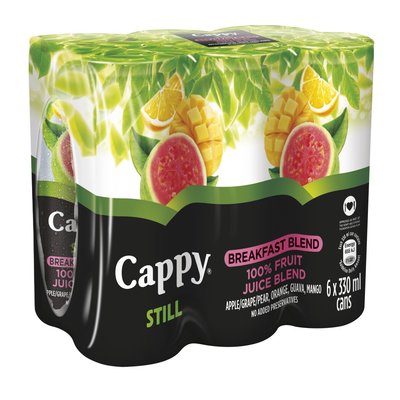 Cappy Fruit Juice Breakfast Blend 330ml x 6 | PnP
