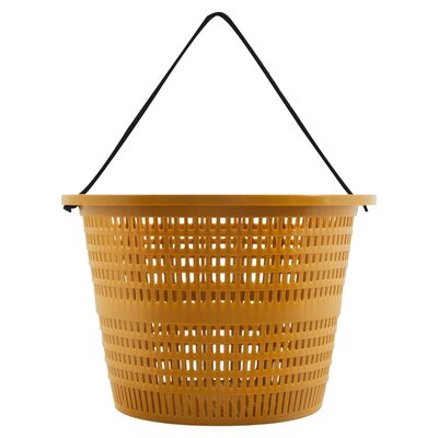 Aqua Cure Weir Basket | Smart Price Specials | PnP Home