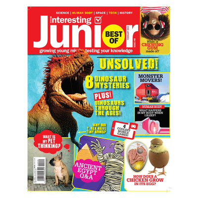 You Magazine | PnP