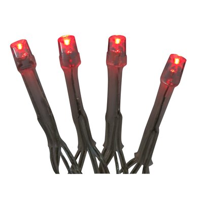 Simple Light 20 Led Battery Operated Light Chain | Smart Price Specials ...