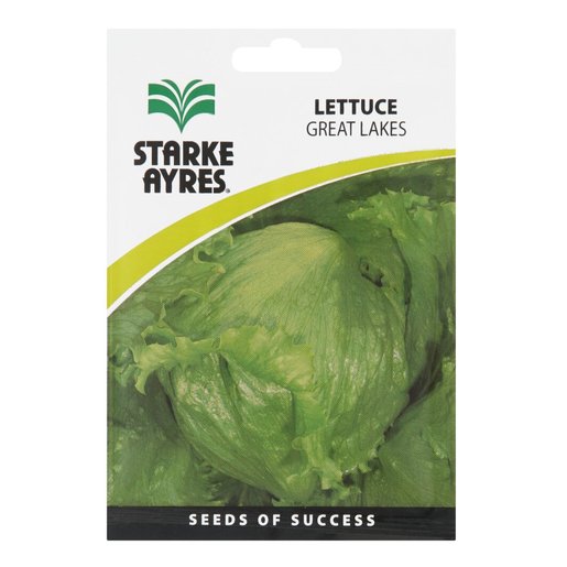 Starke Ayres Lettuce Seed 15g | PnP