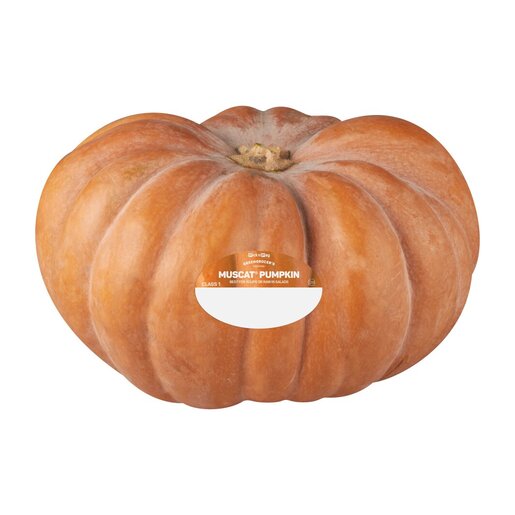 PnP Medium Muscat Pumpkin | PnP