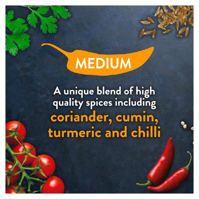 Robertsons Rajah Medium Curry Powder 100g | PnP
