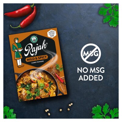 Robertsons Rajah Mild & Spicy Curry Powder 100g | Smart Price Specials ...