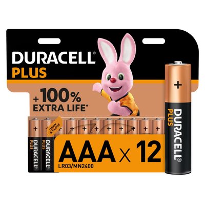 Duracell Plus AA Batteries 12 Pack | PnP