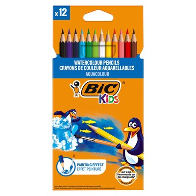 BIC Triangle Colour Pencils 12 Pack | Smart Price Specials | PnP Home