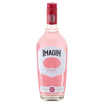 Imagin Citrus Gin 750ml | PnP