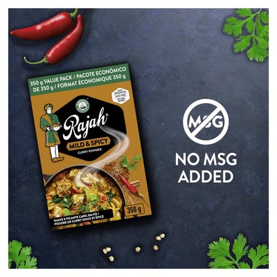 Robertsons Rajah Mild and Spicy Curry Powder 350g | PnP