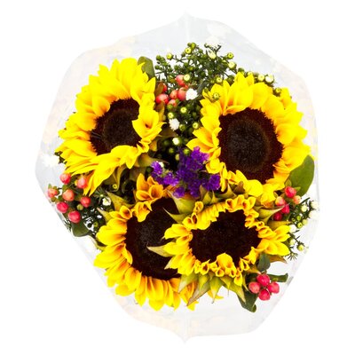 PnP Pocket Sunflower | PnP