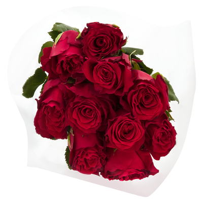 PnP Mix Roses 50cm | PnP