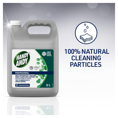 Handy Andy Prefessional Multipurpose Cream 5L | PnP