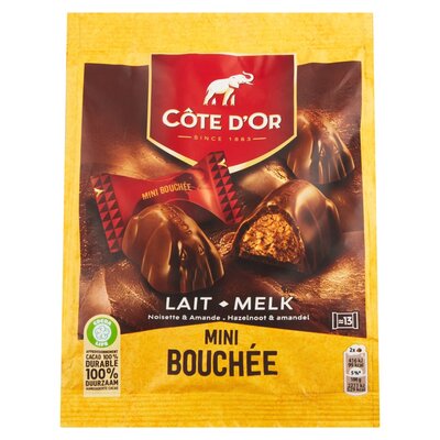 Cote D'or Mini Bouchee Milk Choc 122g | PnP