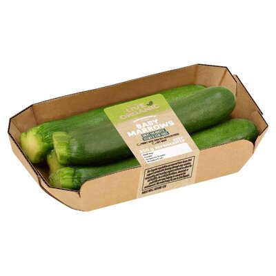 PnP Organic Baby Marrow 350g | PnP
