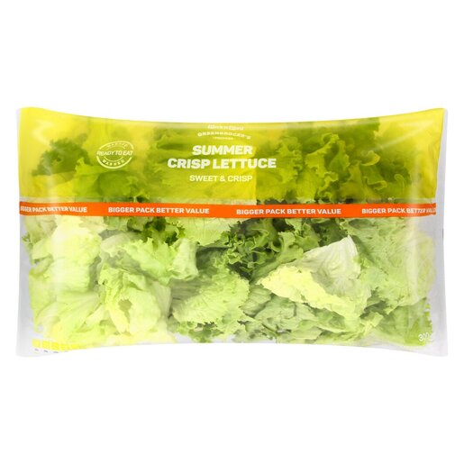 PnP Summer Crisp Lettuce 350g | Smart Price Specials | PnP Home