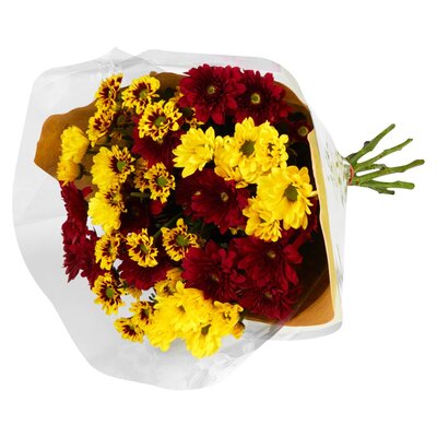 Flowers & Plants | Smart Price Specials | PnP