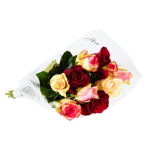 PnP Pocket Rose | PnP