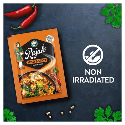 Rajah Curry Powder Mild & Spicy 7g | PnP