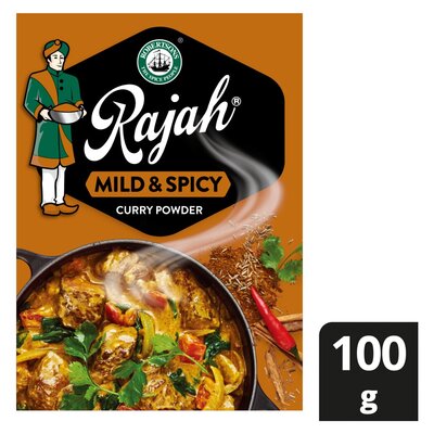 Robertsons Rajah Mild & Spicy Curry Powder 100g | PnP