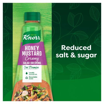 Knorr Creamy Honey & Mustard Salad Dressing 340ml | PnP
