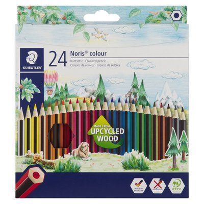 Staedtler Jumbo Colour Pencils 10 Pack | PnP
