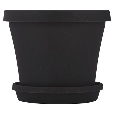 Sebor Charcoal Super Pot 15cm | Smart Price Specials | PnP Home