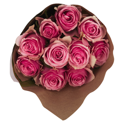 PnP Blush Roses 50cm | PnP