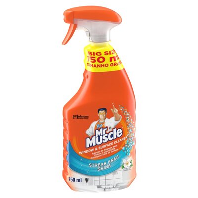 Mr Muscle Fresh Window & Surface Cleaner Trigger 750ml | PnP