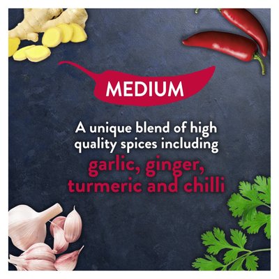 Robertsons Rajah All-In-One Curry Powder With Garlic 350g | PnP