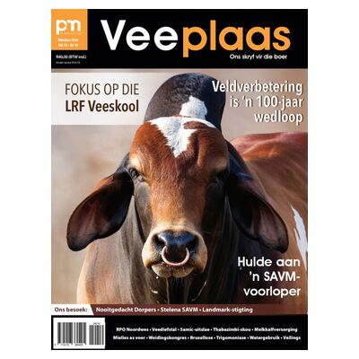 Magazines | Newspapers & Magazines | Smart Price Specials | PnP