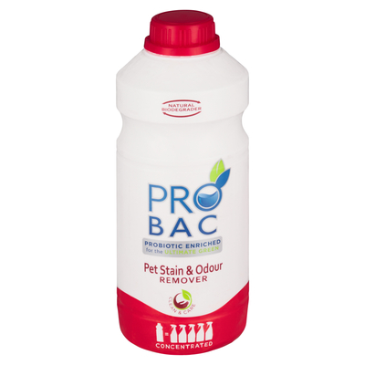 Probac Pet Stain & Odour Remover 1l | PnP
