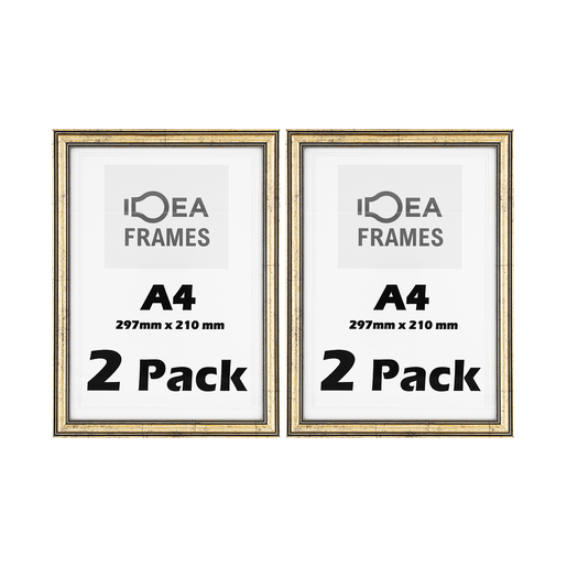 Ethnix 2 Pack Certificate Frame Gold | PnP