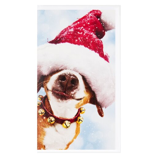 Avanti Sa Seasonal Card Midi | Smart Price Specials | PnP Home