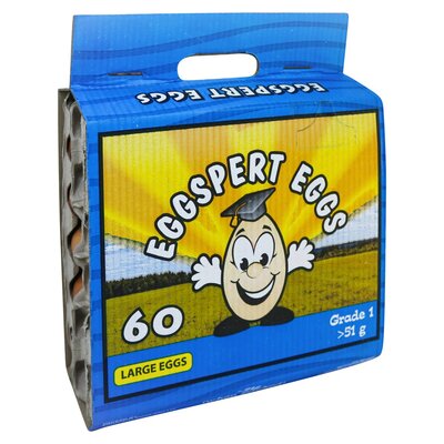 Eggspert Large Eggs 60 Pack | PnP