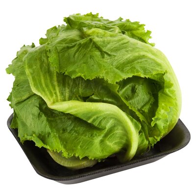Lettuce Head | PnP