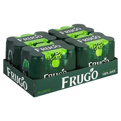Frugo 100% Lightly Sparkling Apple Juice 24 x 300ml | PnP