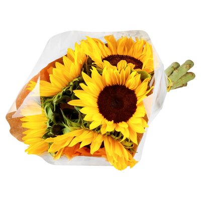 PnP Tempo Bouquet | PnP