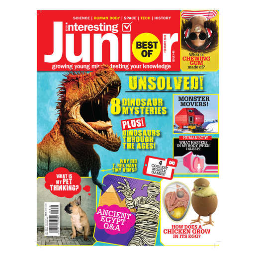 Very Interesting Junior | PnP