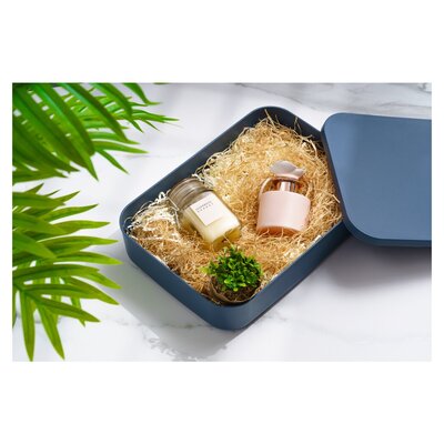 Goldsun Mars Low Storage Box With Lid 2L | Smart Price Specials | PnP Home