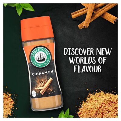 Robertsons Ground Cinnamon Spice 42g | PnP