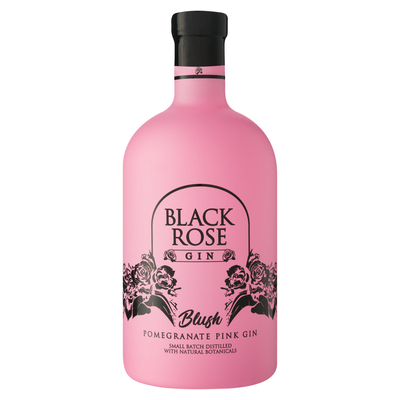 48Gin Premium Platinum Gin 750ml | PnP