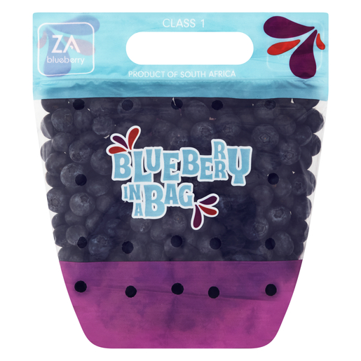 PnP Blueberries Bag 500g | PnP