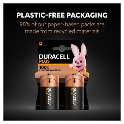 Duracell Plus D Batteries 2 Pack | PnP