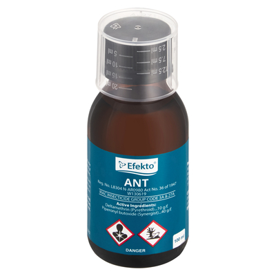 Efekto Ant Insecticide 100ml | PnP