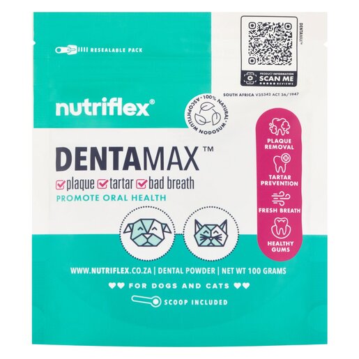 Nutriflex Dental Powder for Dogs & Cats 100g | PnP