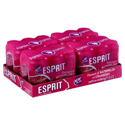 Esprit Watermelon & Strawberry Can 24 x 440ml | PnP
