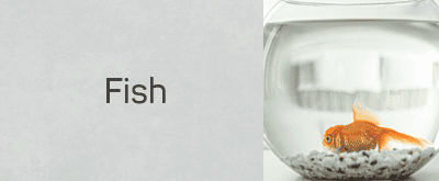 Fish | Pet Care | Smart Price Specials | PnP