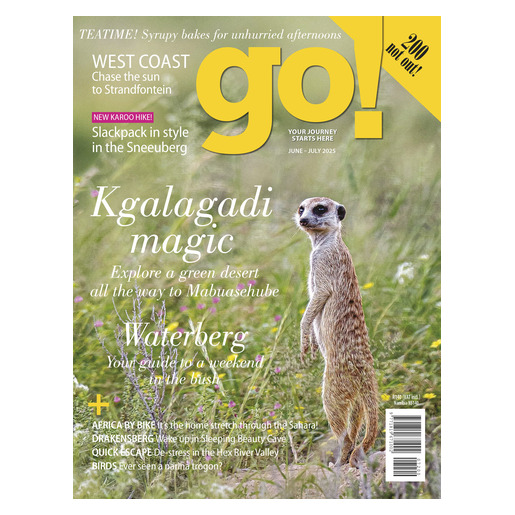 Go Magazine | PnP